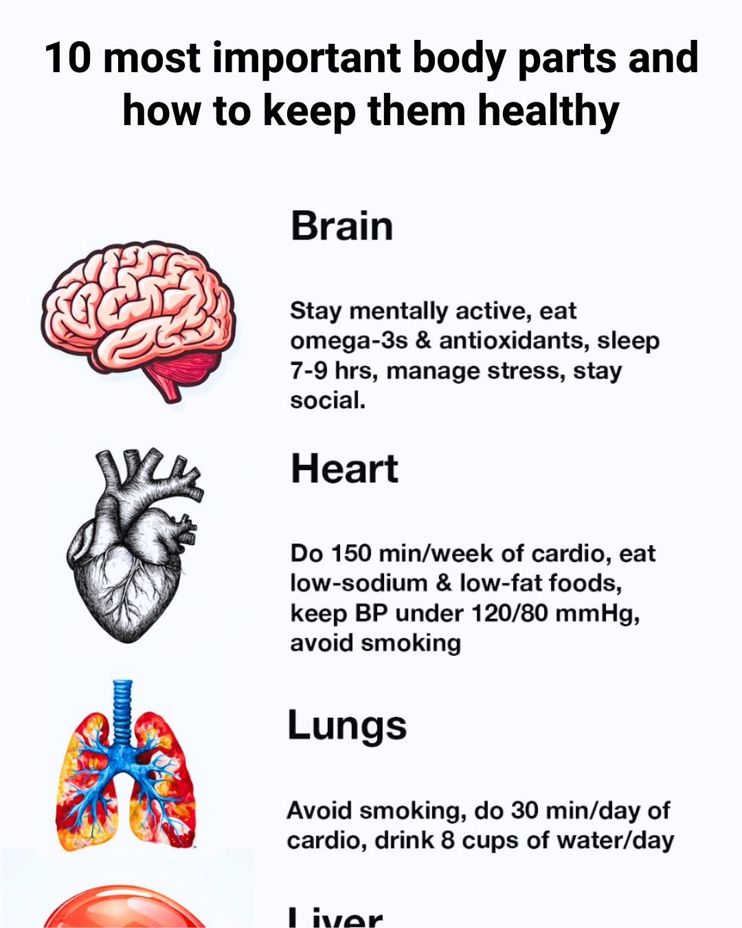 10 most important body parts and how to keep them healthy - cutiething.com